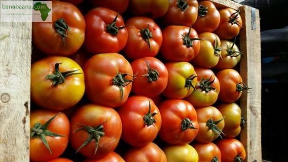 Alimentation - Gastronomie Acheter les fruits et légumes Dakar - Banabaana