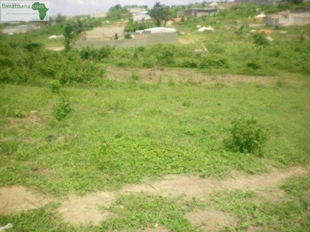 Ventes immobilières VENTE DE TERRAIN A SONGON BELLEVILLE Abidjan ...