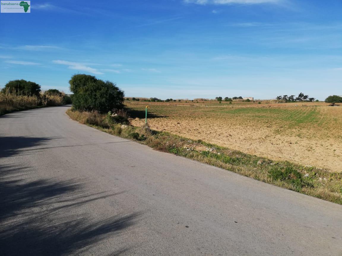 Ventes immobilières terrain a hawaria Nabeul - Banabaana