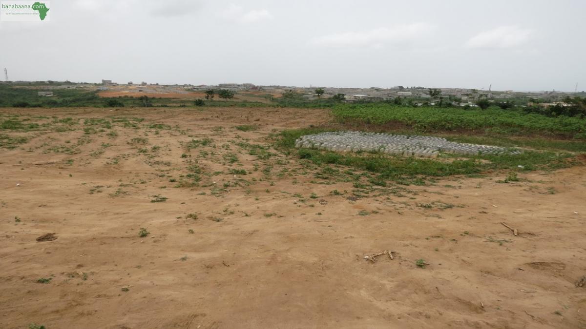 Terrains - Parcelles TERRAIN A VENDRE A SONGON Abidjan - Banabaana