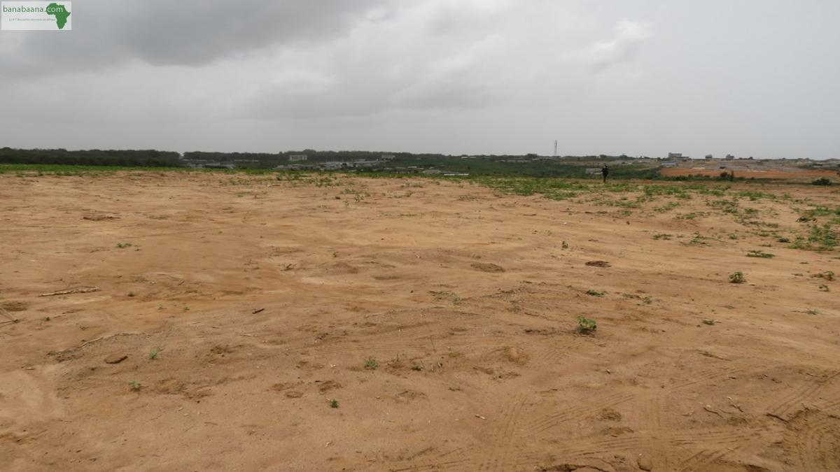Terrains - Parcelles TERRAIN A VENDRE A SONGON Abidjan - Banabaana